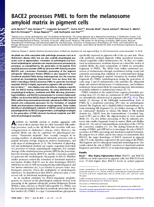 (PDF) BACE2 processes PMEL to form the melanosome amyloid matrix in ...