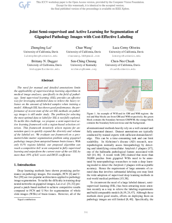 (PDF) Joint Semi-supervised and Active Learning for Segmentation of Gigapixel Pathology Images ...
