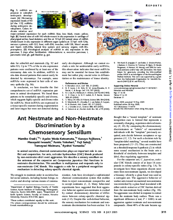 (PDF) Ant Nestmate and Non-Nestmate Discrimination by a Chemosensory ...