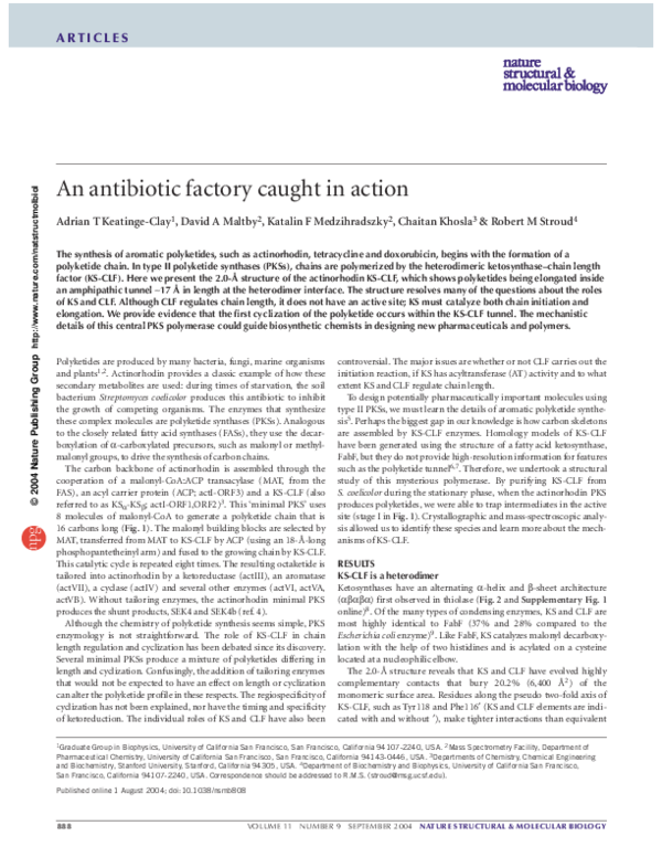 (PDF) An antibiotic factory caught in action