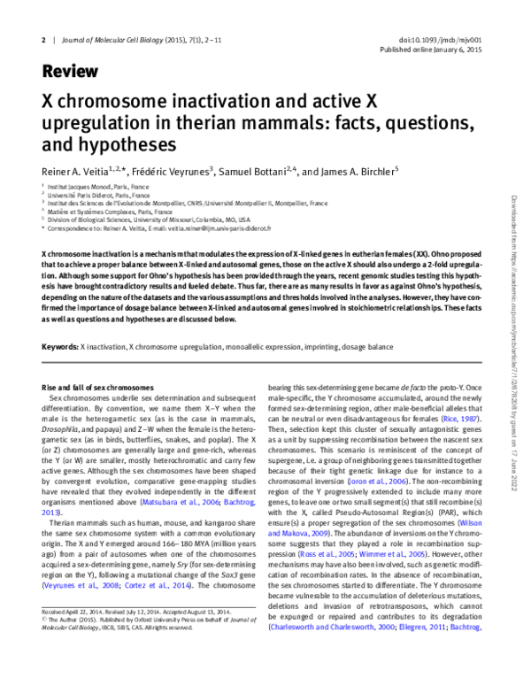 (PDF) X chromosome inactivation and active X upregulation in therian ...