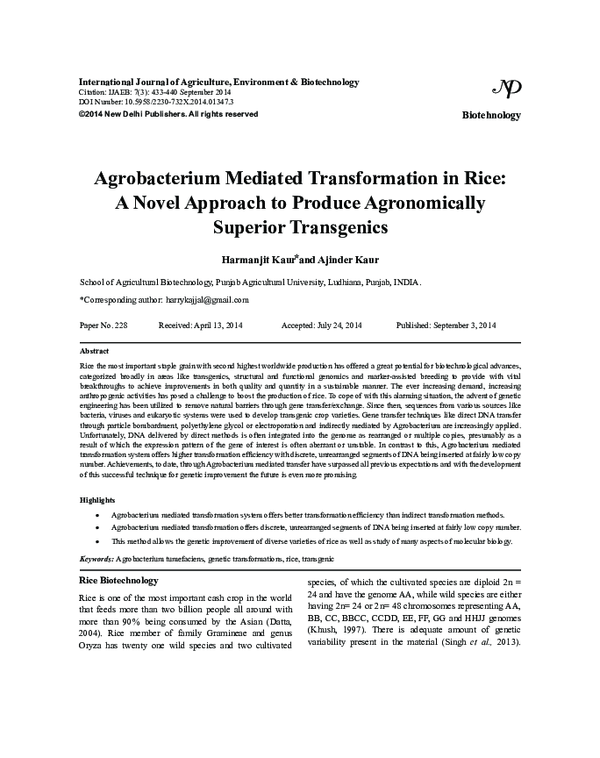 (PDF) Agrobacterium Mediated Transformation in Rice: A Novel Approach ...