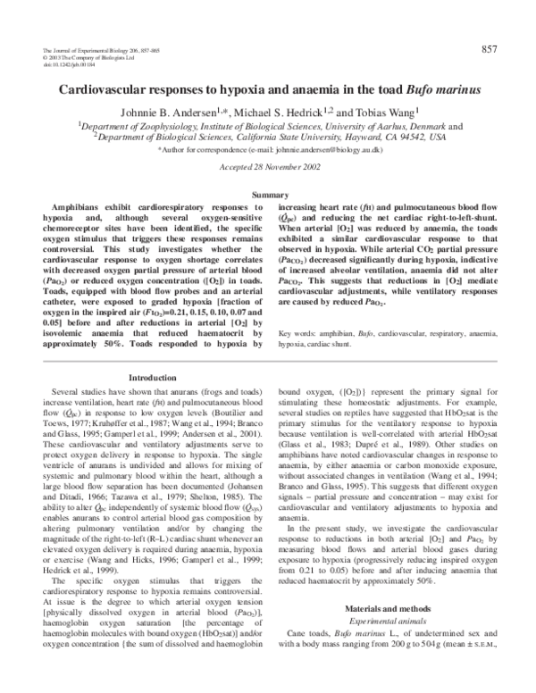 (PDF) Cardiovascular responses to hypoxia and anaemia in the toad Bufo ...