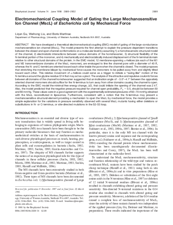 (PDF) Electromechanical Coupling Model of Gating the Large ...