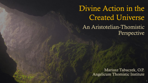 (PDF) Divine Action in the Created Universe: An Aristotelian-Thomistic ...