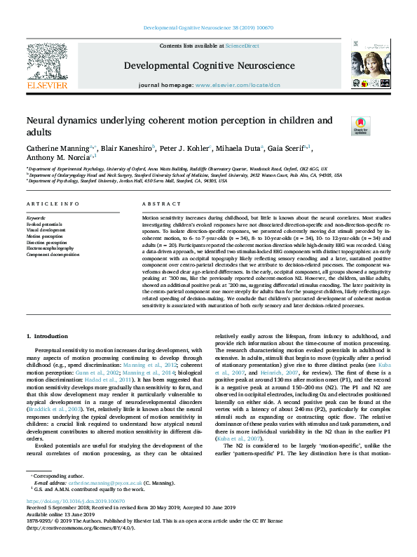 (PDF) Neural dynamics underlying coherent motion perception in children and adults