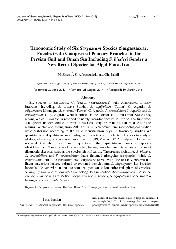 (PDF) Taxonomic Study of Six Sargassum Species (Sargassaceae, Fucales) with Compressed Primary ...