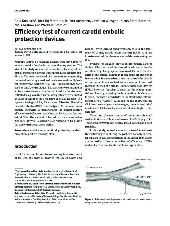(PDF) Efficiency test of current carotid embolic protection devices