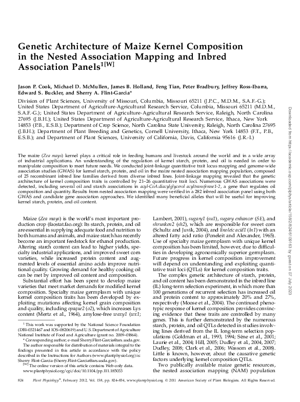 (PDF) Genetic Architecture of Maize Kernel Composition in the Nested ...