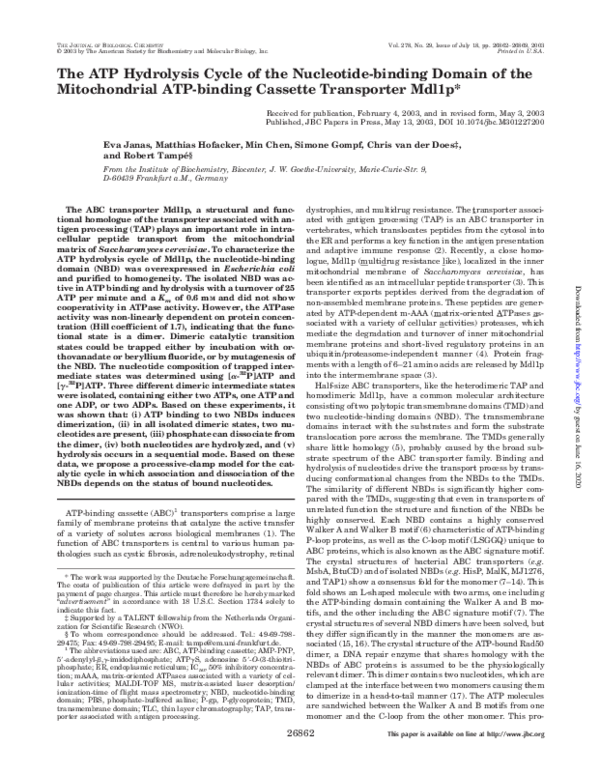 (PDF) The ATP Hydrolysis Cycle of the Nucleotide-binding Domain of the ...