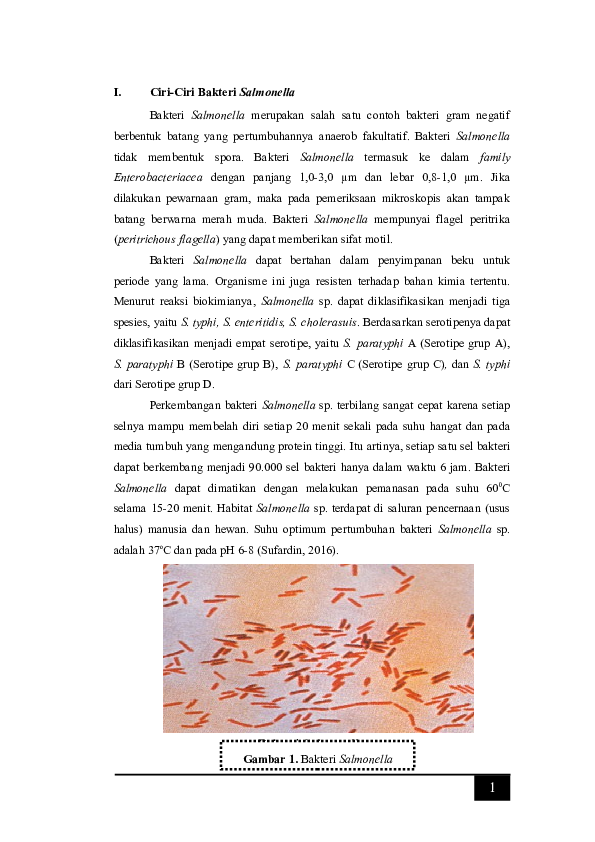 (DOC) Bahaya Bakteri Salmonella