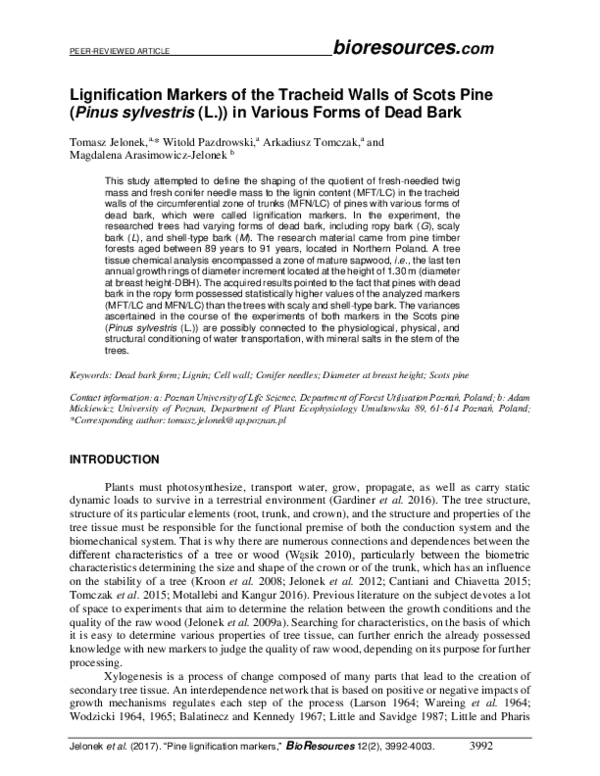 (PDF) Lignification Markers of the Tracheid Walls of Scots Pine (Pinus ...