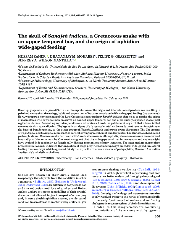 (PDF) The skull of Sanajeh indicus, a Cretaceous snake with an upper ...