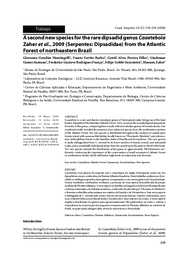 (PDF) A second new species for the rare dipsadid genus Caaeteboia Zaher ...