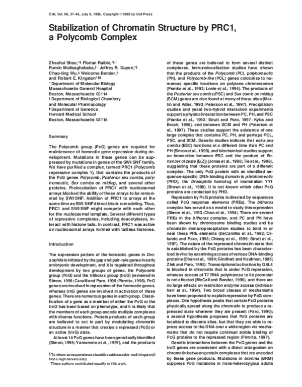 (PDF) Stabilization of Chromatin Structure by PRC1, a Polycomb Complex ...