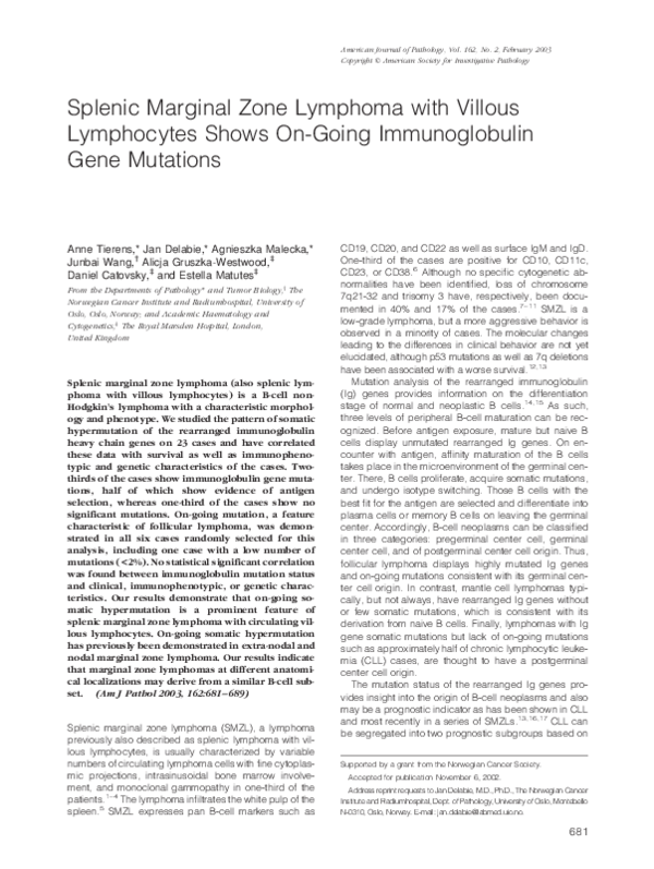 (PDF) Splenic Marginal Zone Lymphoma with Villous Lymphocytes Shows On ...