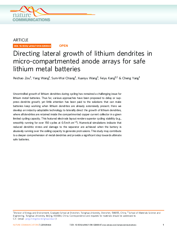 (PDF) Directing lateral growth of lithium dendrites in micro ...