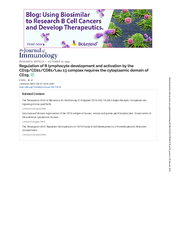 (PDF) Regulation of B lymphocyte development and activation by the CD19 ...