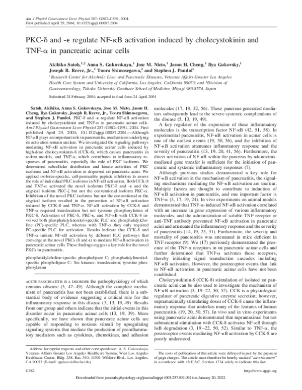 (PDF) PKC-δ and -ε regulate NF-κB activation induced by cholecystokinin ...