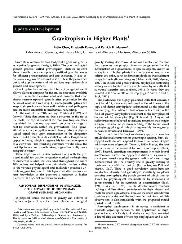 (PDF) Gravitropism in Higher Plants1