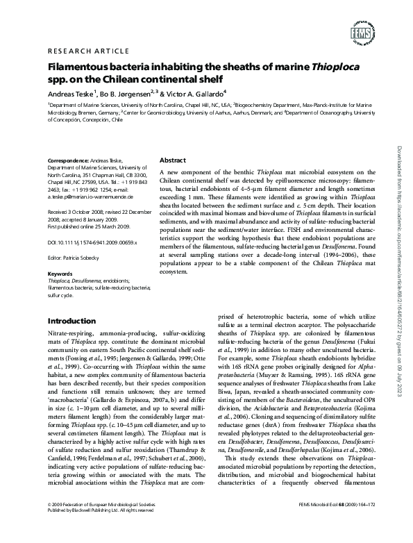(PDF) Filamentous bacteria inhabiting the sheaths of marine Thioploca ...