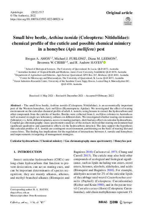 (PDF) Small hive beetle, Aethina tumida (Coleoptera: Nitidulidae ...