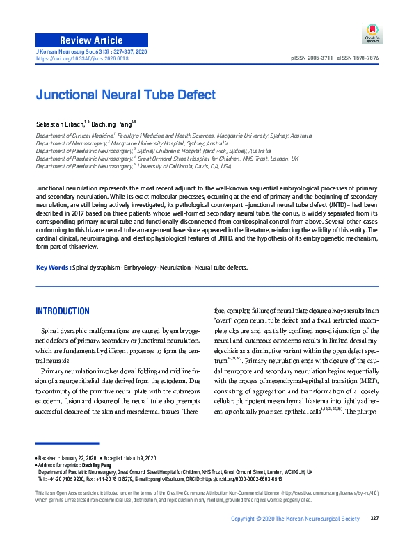 (PDF) Junctional Neural Tube Defect
