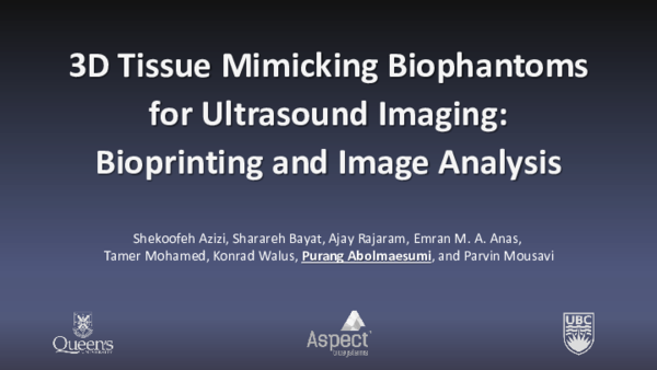 (PDF) 3D tissue mimicking biophantoms for ultrasound imaging: bioprinting and image analysis ...