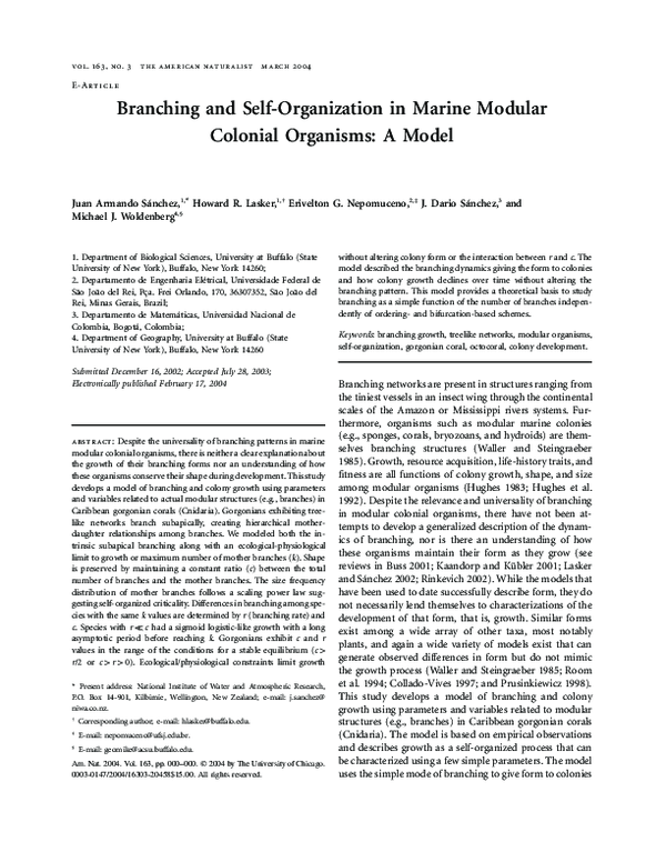(PDF) Branching and Self‐Organization in Marine Modular Colonial ...