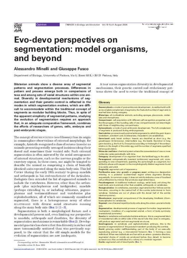 (PDF) Evo-devo perspectives on segmentation: Model organisms, and beyond