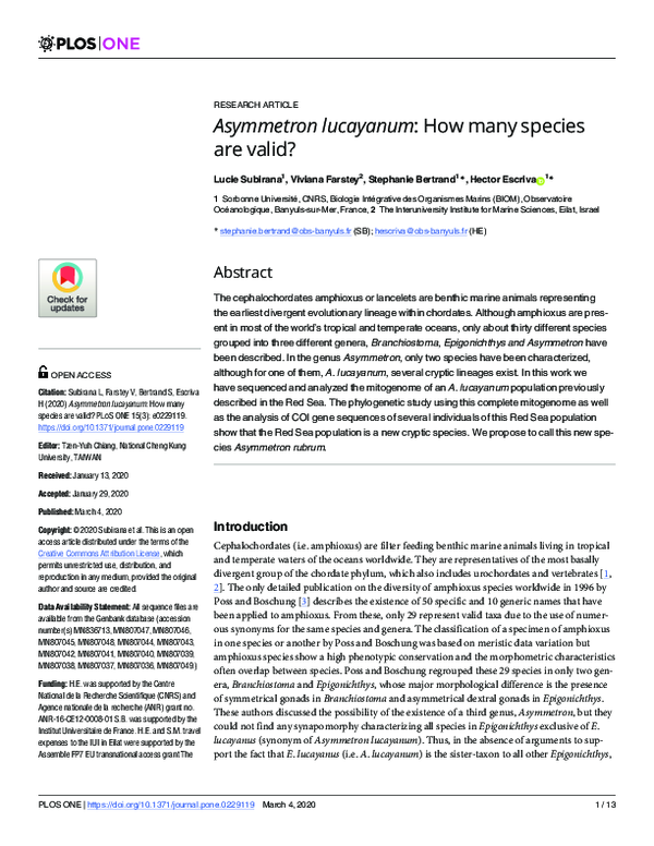 (PDF) Asymmetron lucayanum: How many species are valid?