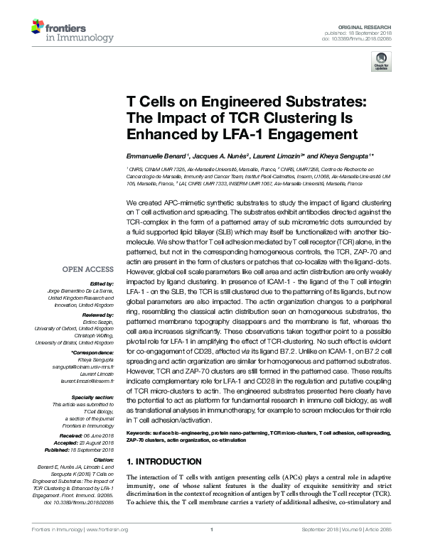 (PDF) T Cells on Engineered Substrates: The Impact of TCR Clustering Is ...