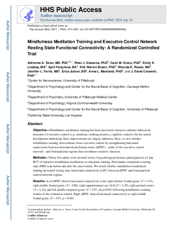 (PDF) Mindfulness Meditation Training and Executive Control Network ...