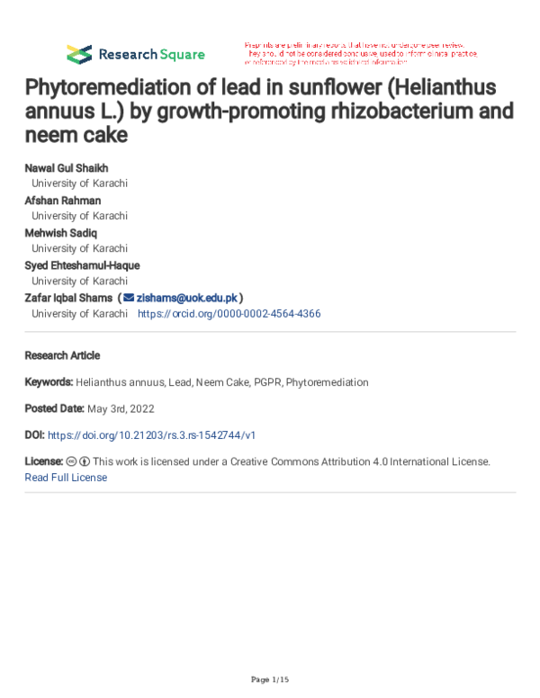 (PDF) Phytoremediation of lead in sunflower (Helianthus annuus L.) by ...