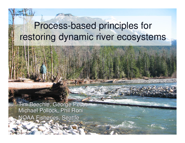 (PDF) Process-based Principles for Restoring Dynamic River Ecosystems