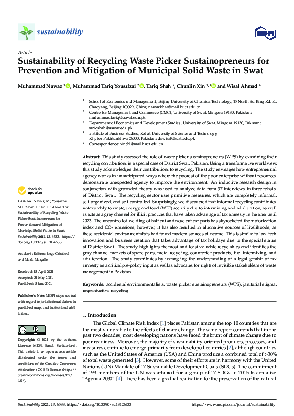 (PDF) Sustainability of Recycling Waste Picker Sustainopreneurs for ...