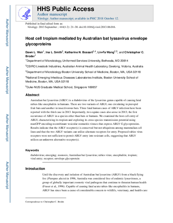 (PDF) Host cell tropism mediated by Australian bat lyssavirus envelope ...