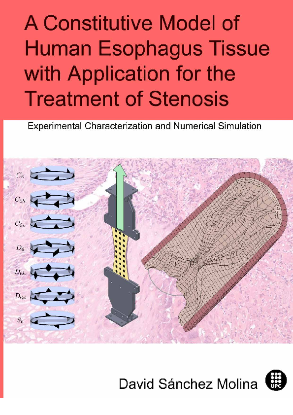 (PDF) A constitutive model of human esophagus tissue with application ...