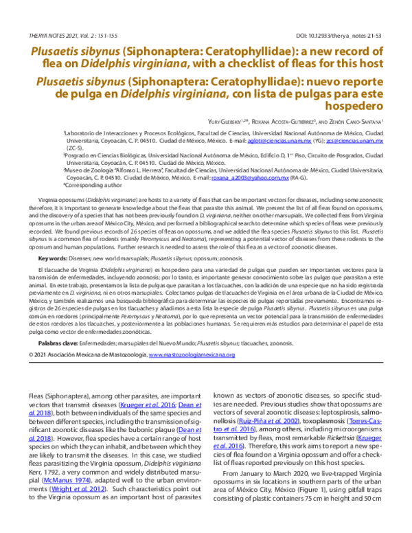 (PDF) Plusaetis sibynus (Siphonaptera: Ceratophyllidae): a new record ...