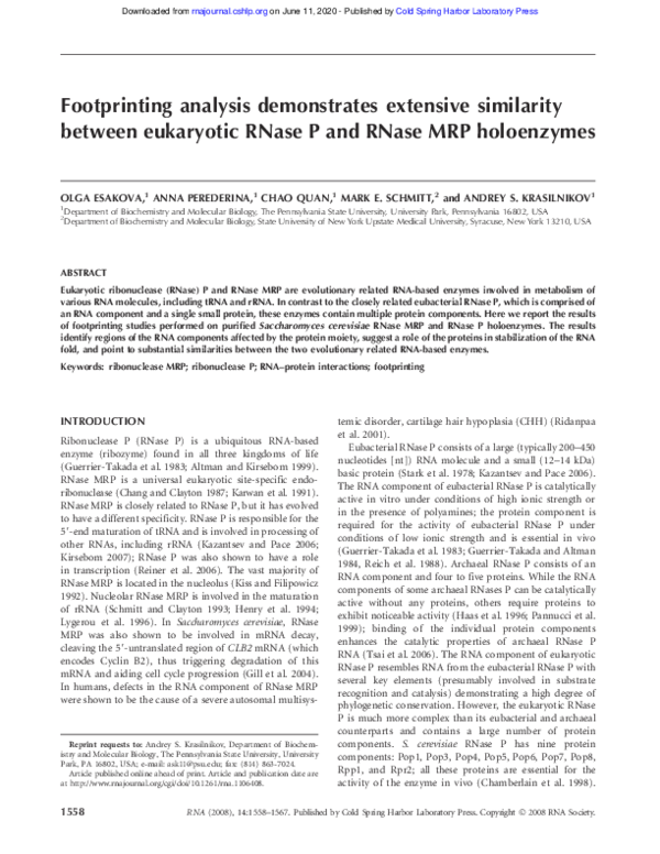 (PDF) Footprinting analysis demonstrates extensive similarity between ...