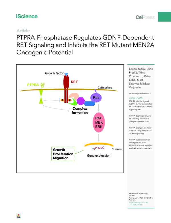 (PDF) PTPRA Phosphatase Regulates GDNF-Dependent RET Signaling and ...