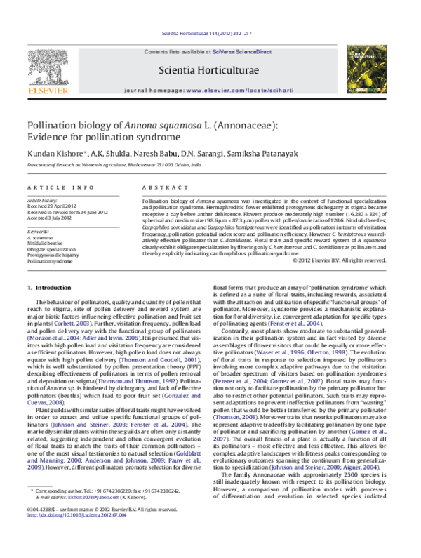 Pdf Pollination Biology Of Annona Squamosa L Annonaceae Evidence For Pollination Syndrome