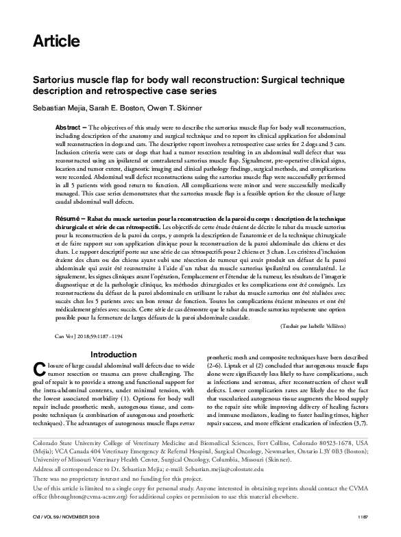 (PDF) Sartorius muscle flap for body wall reconstruction: Surgical technique description and ...
