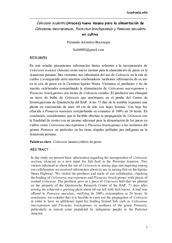 (DOC) NOTAS SOBRE CULTIVO DE PITUCA Colocasia sculenta