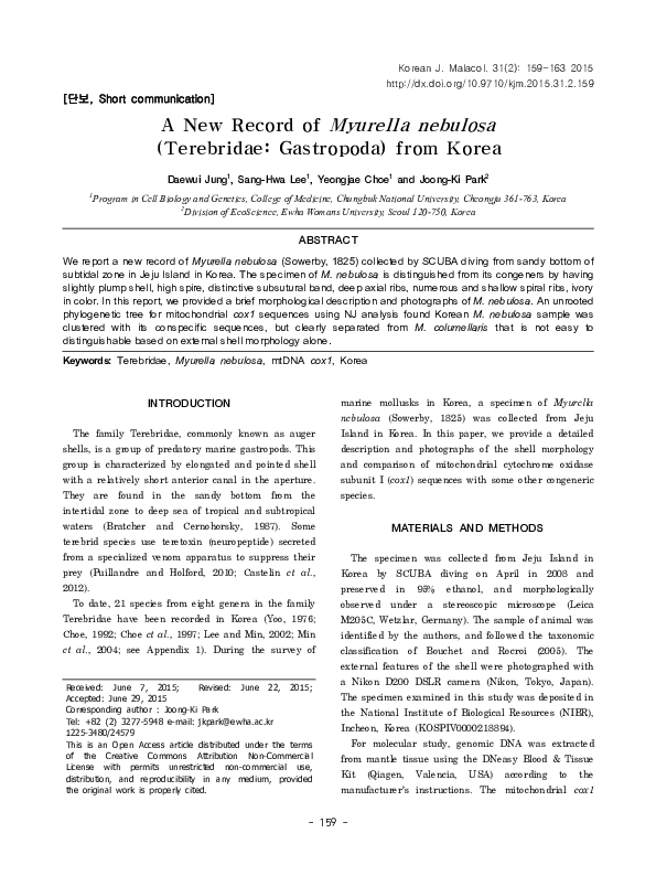 (PDF) A New Record of Myurella nebulosa (Terebridae: Gastropoda) from Korea