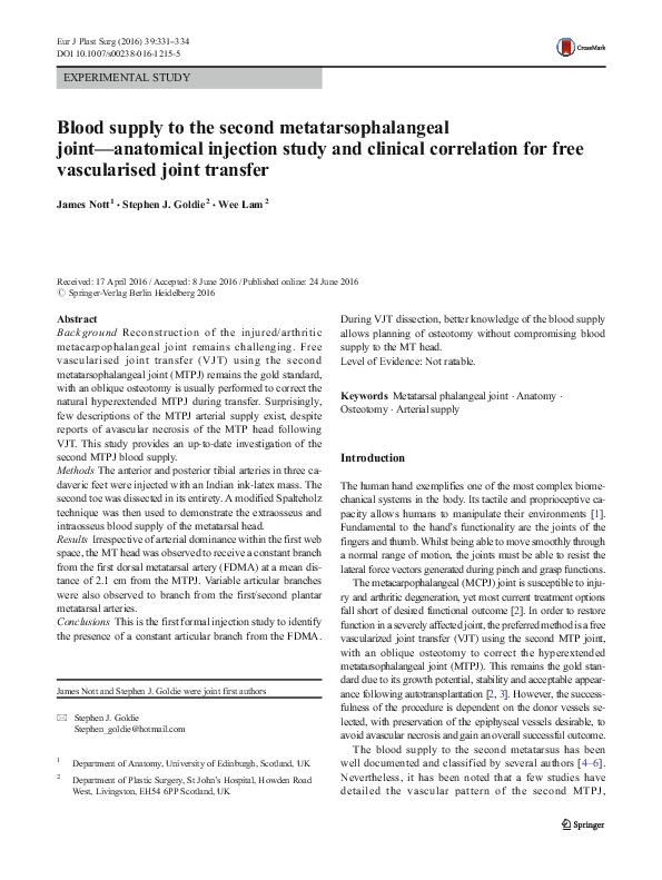 (PDF) Blood supply to the second metatarsophalangeal joint—anatomical ...