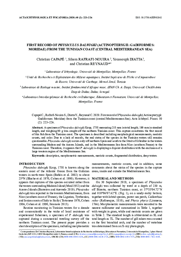 (PDF) First record of Physiculus dalwigki (Actinopterygii: Gadiformes ...