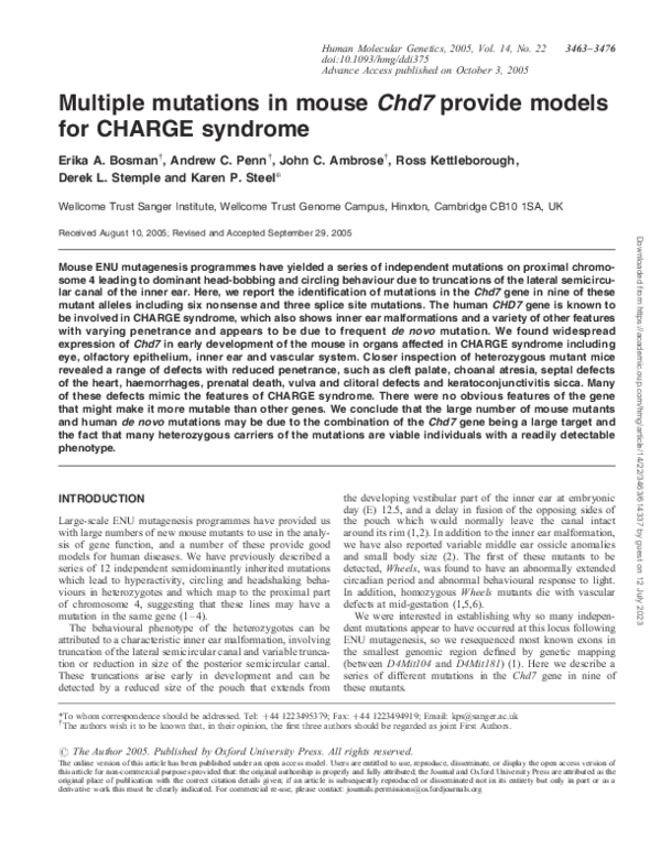 (PDF) Multiple mutations in mouse Chd7 provide models for CHARGE syndrome