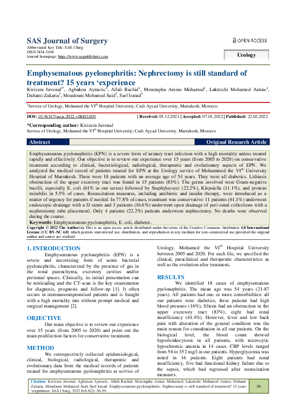 (PDF) Emphysematous pyelonephritis: Nephrectomy is still standard of ...
