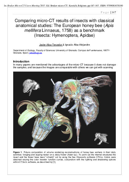 (PDF) Comparing micro-CT results of insects with classical anatomical ...